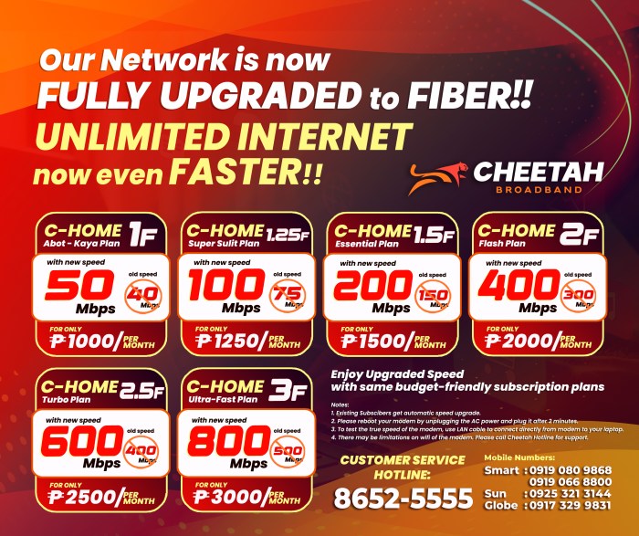 CHEETAH BROADBAND IS NOW FULLY UPGRADED TO FIBER! - Cheetah Broadband