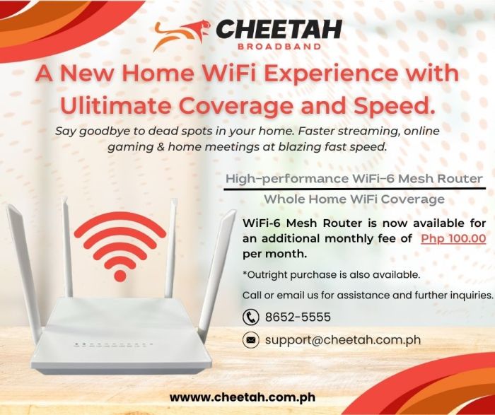 INTRODUCING THE CHEETAH BROADBAND WI-FI 6 MESH ROUTER - Cheetah Broadband