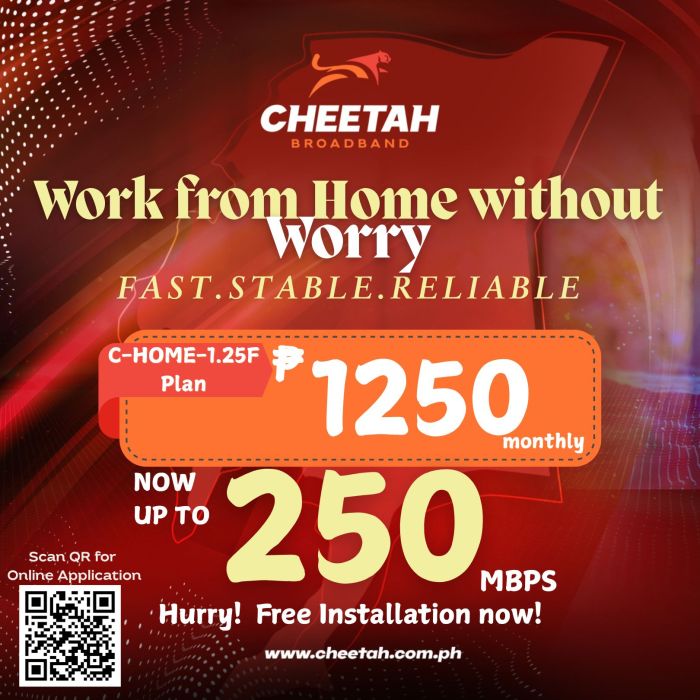 News and Updates - Cheetah Broadband